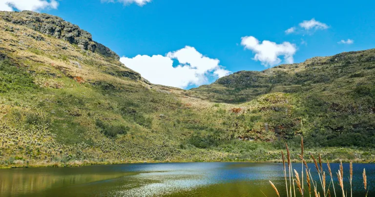Santuario de Flora y Fauna de Iguaque: Un viaje al corazón de la ...